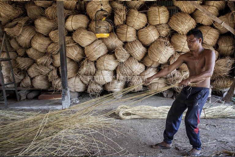 Rotan Lhoknga Makin Berkilau | Pikiran Merdeka
